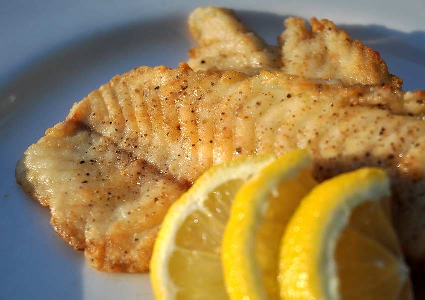 Recent Delights, Vol. XII | FoodFunk.ca