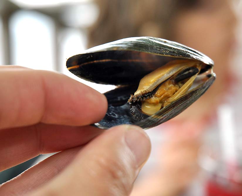 I Seafood, I Eat it. In St. Andrews. | FoodFunk.ca